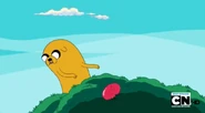 Up a Tree | Adventure Time Wiki | Fandom