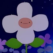 Finn | Adventure Time Wiki | Fandom
