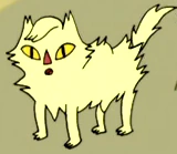 Lady Wizard 1 | Adventure Time Wiki | Fandom