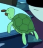 Ocean Council | Adventure Time Wiki | Fandom