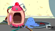 Jellyfish (species) | Adventure Time Wiki | Fandom