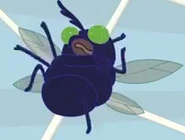 Fly | Adventure Time Wiki | Fandom