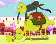 Lemon Camel | Adventure Time Wiki | Fandom