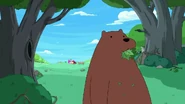 Bear | Adventure Time Wiki | Fandom