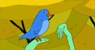 Bird inside out | Adventure Time Wiki | Fandom