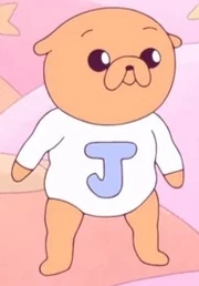 Jake | Adventure Time Wiki | Fandom