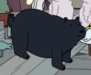 Bears (species) | Adventure Time Wiki | Fandom