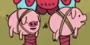 Pigs | Adventure Time Wiki | Fandom