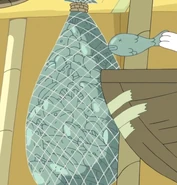 Fish | Adventure Time Wiki | Fandom
