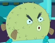 Ocean Council | Adventure Time Wiki | Fandom