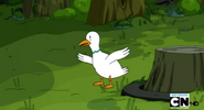 Boobafina | Adventure Time Wiki | Fandom