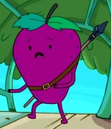 Wildberry People | Adventure Time Wiki | Fandom