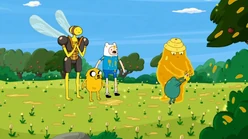 Honey Man | Adventure Time Wiki | Fandom
