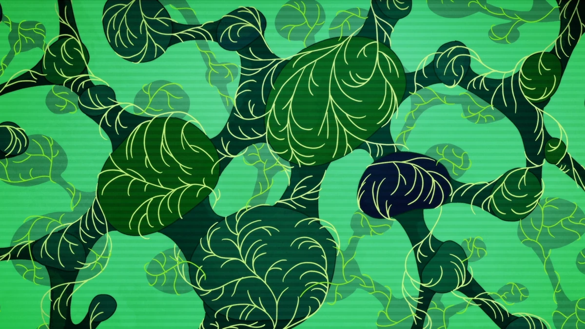 Dimensional Tree | Adventure Time Wiki | Fandom