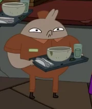 Wizards | Adventure Time Wiki | Fandom