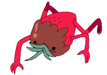 Chocoberry (Winterworld) | Adventure Time Wiki | Fandom