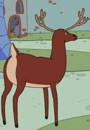 Stag | Adventure Time Wiki | Fandom