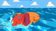 Fish | Adventure Time Wiki | Fandom
