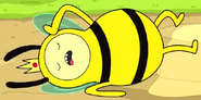 Bee Princess | Adventure Time Wiki | Fandom