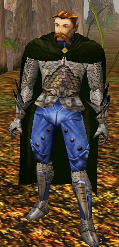 Cloak of Protection +4 | A Dance with Rogues | Fandom