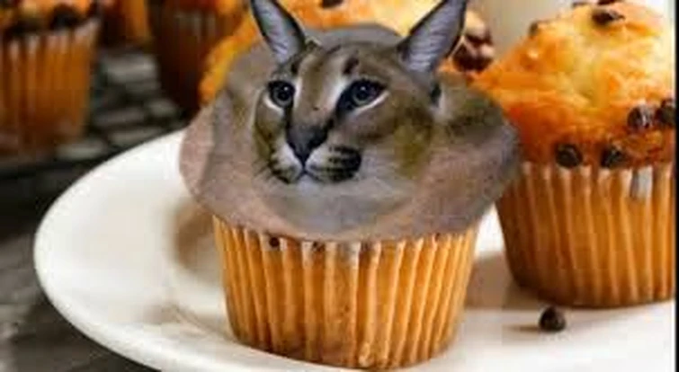 Foods floppa eat (how they are designed) | Fandom