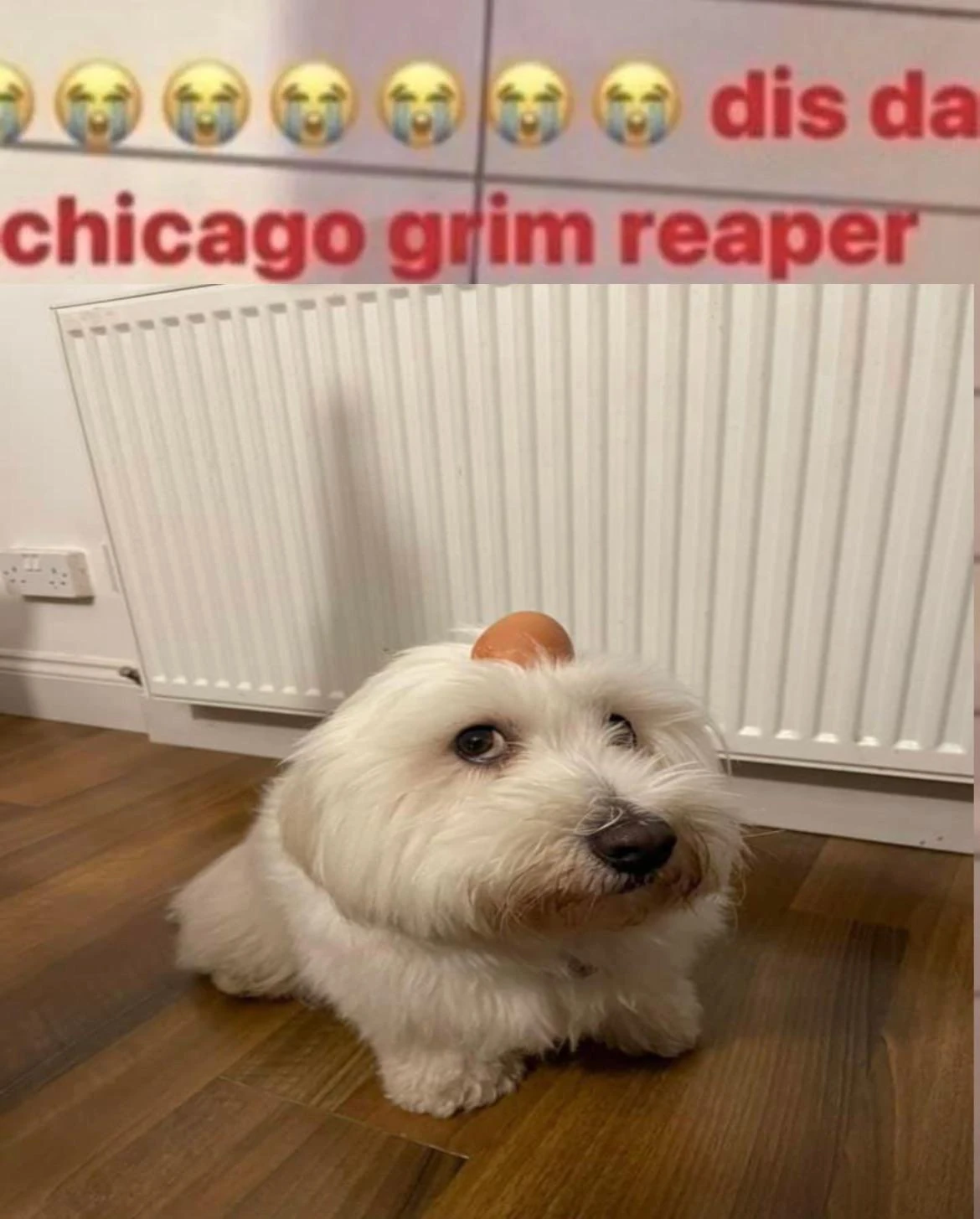 How do i climb vines? | Fandom