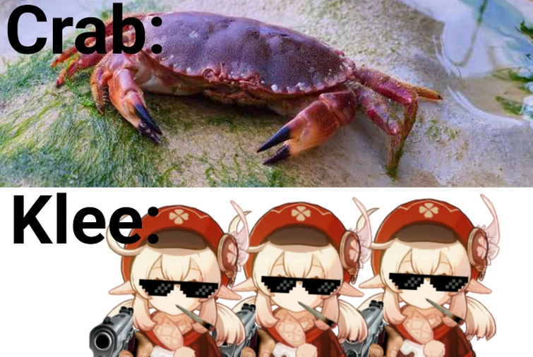 Made This Genshin Impact Meme. 🤣🤣🤣 | Fandom