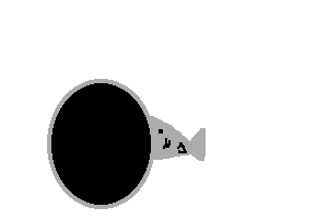 the gorgog fish | Fandom