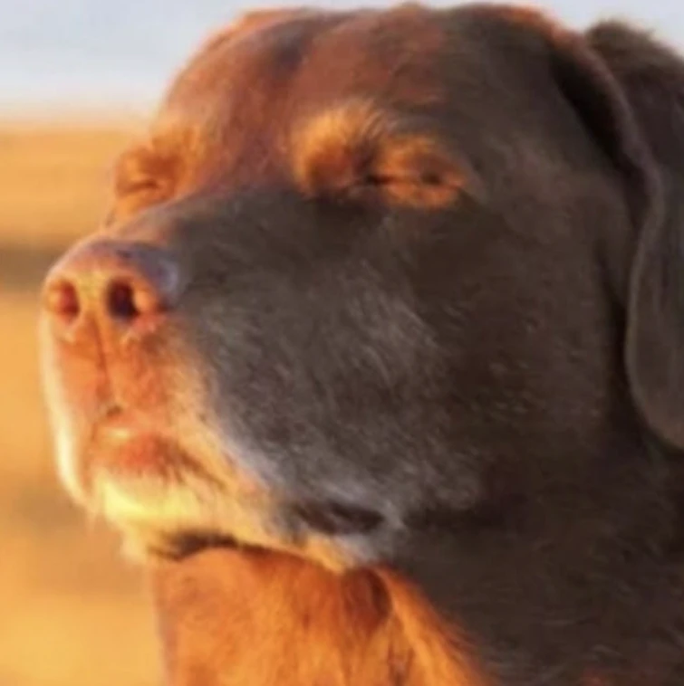 trading ss nessie for ssw floppy | Fandom