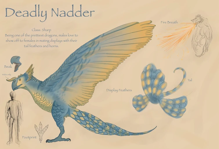 “Realistic” HTTYD Redesigns | Fandom