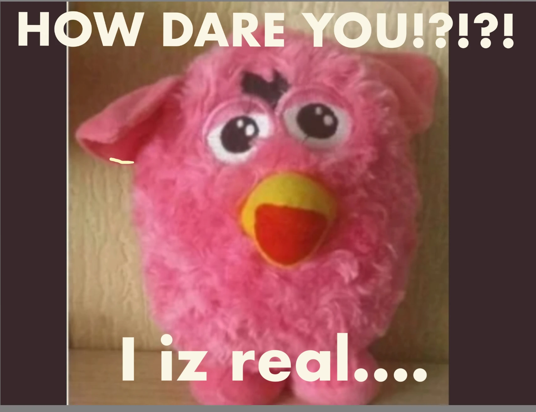 HOW DARE YOU!?!?!?!? | Fandom
