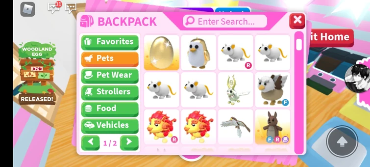 Discuss Everything About Adopt Me! Wiki | Fandom