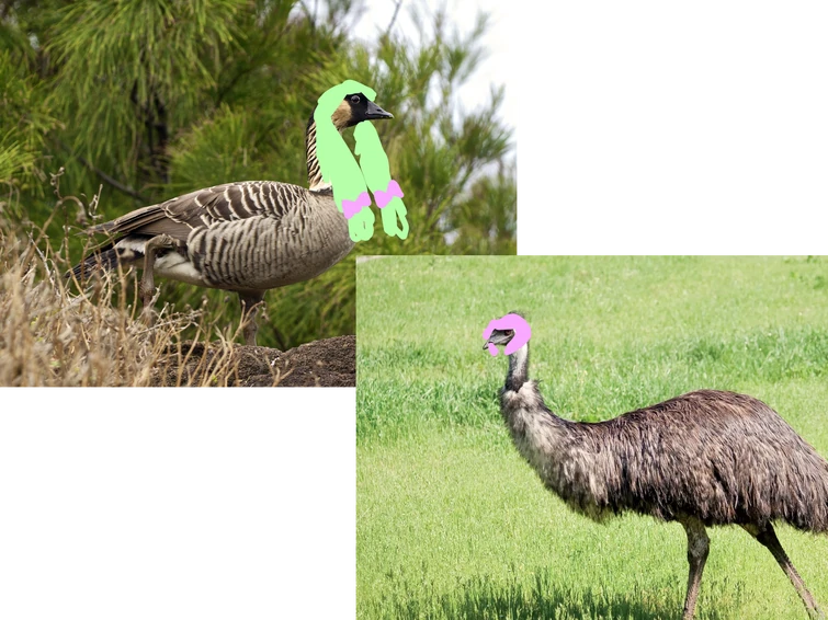 Did you know Nene is a bird | Fandom