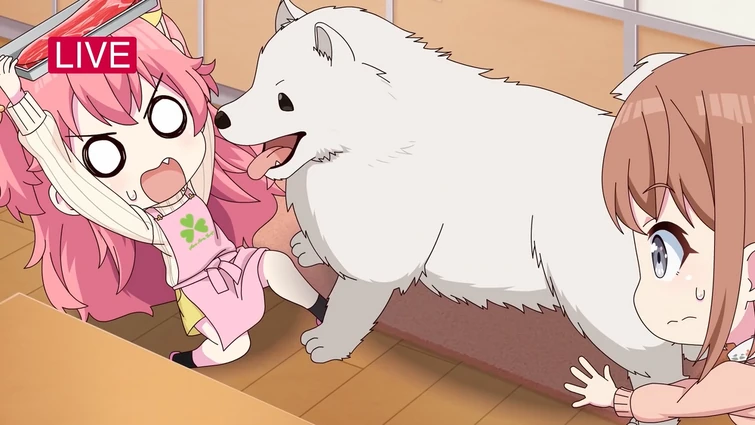 Best project Sekai character award goes to samo-chan | Fandom