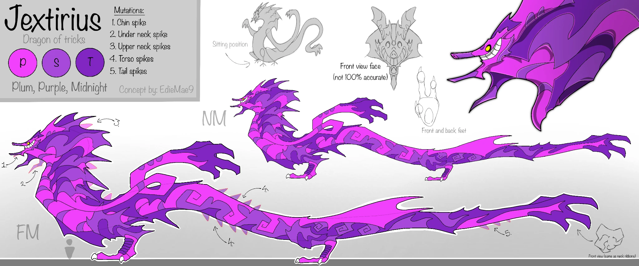 Cool thingy 😎 | Fandom