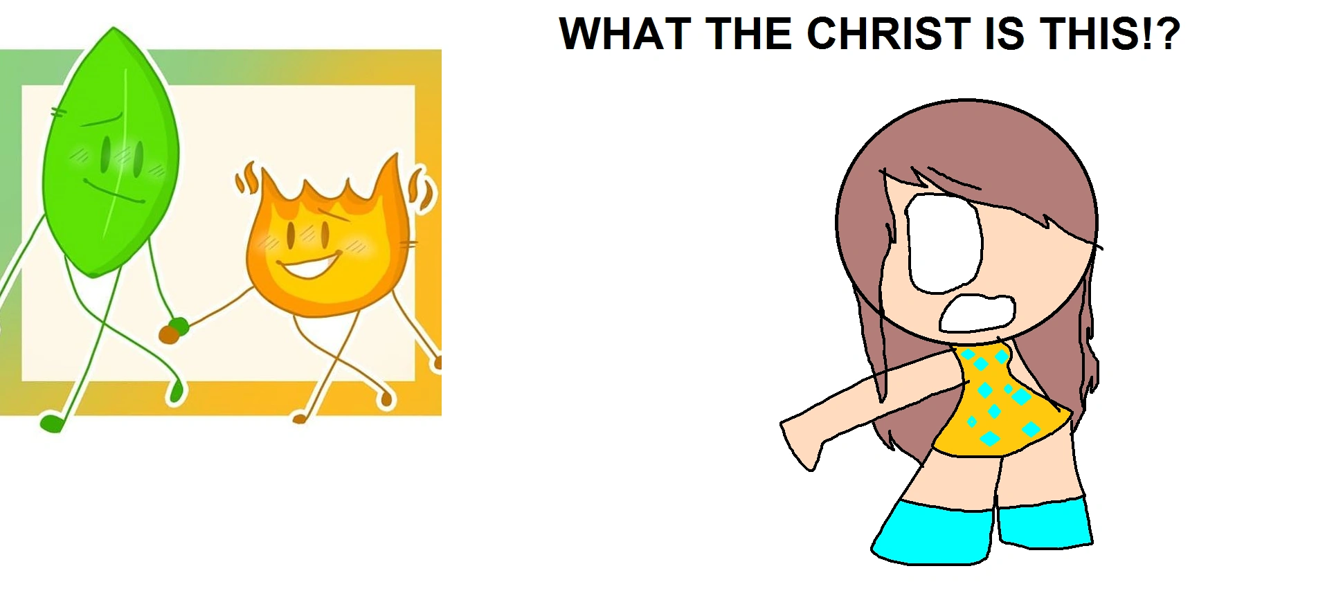 I HATE FIREAFY | Fandom