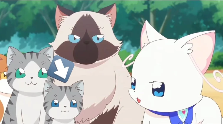Discuss Everything About Pretty Cure Wiki | Fandom