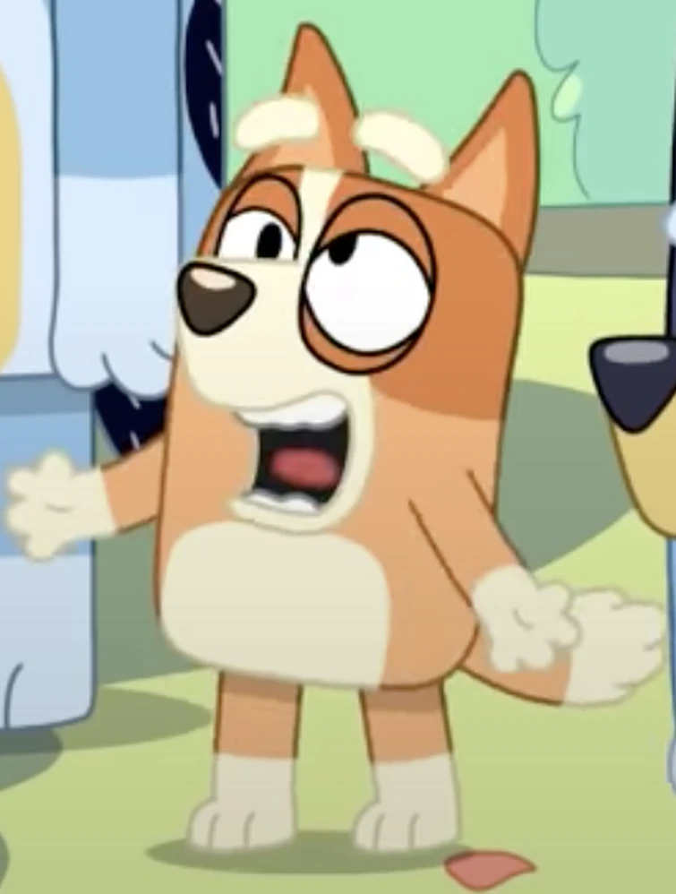 I randomly paused Bluey episodes and here's what images I came across ...