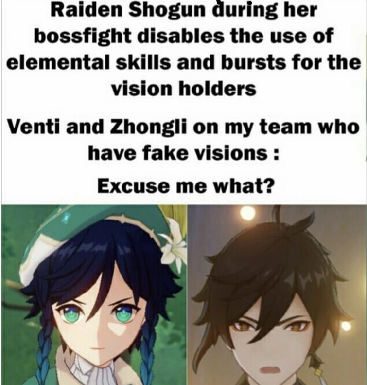 Here is sum meme about raiden shogun fight | Fandom