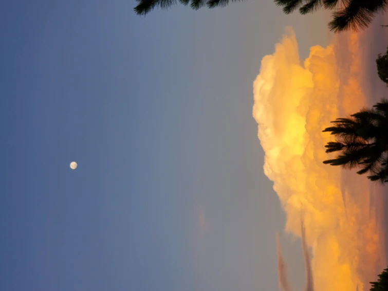 gm friends! | Fandom