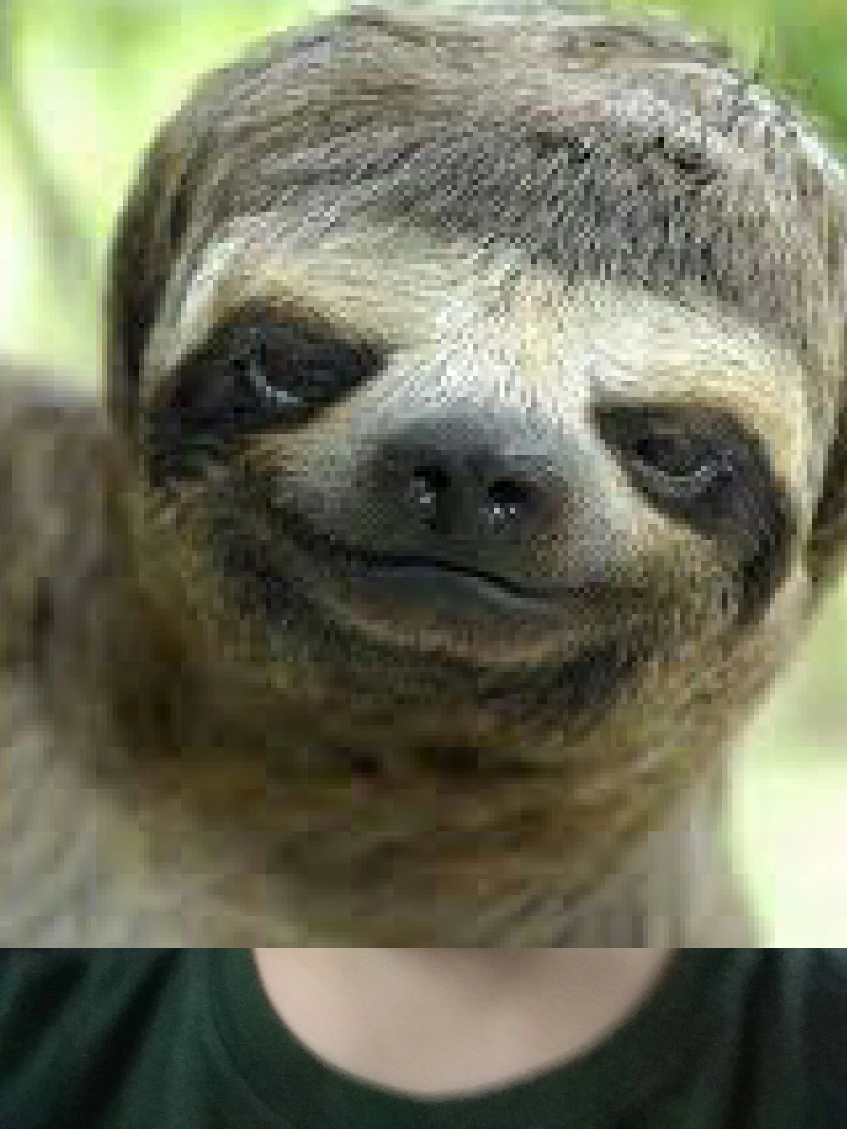 Kaiju trading cards. | Fandom