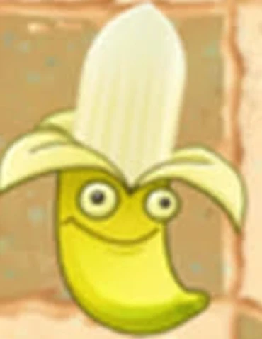 This is so hard I'm probaly not voting | Fandom