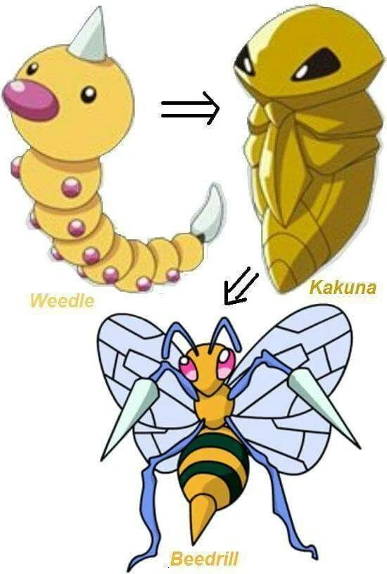 Out of all of The Weedle evolutions - which one is your favorite? | Fandom