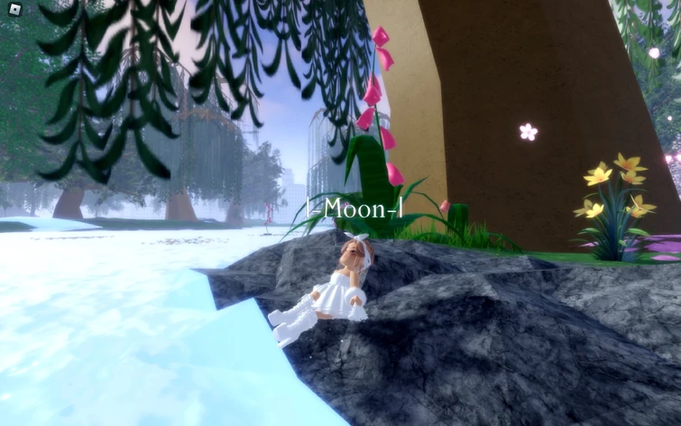 Mini photo shoot | Fandom