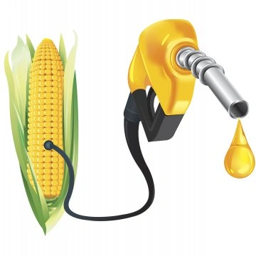 CORN | Fandom