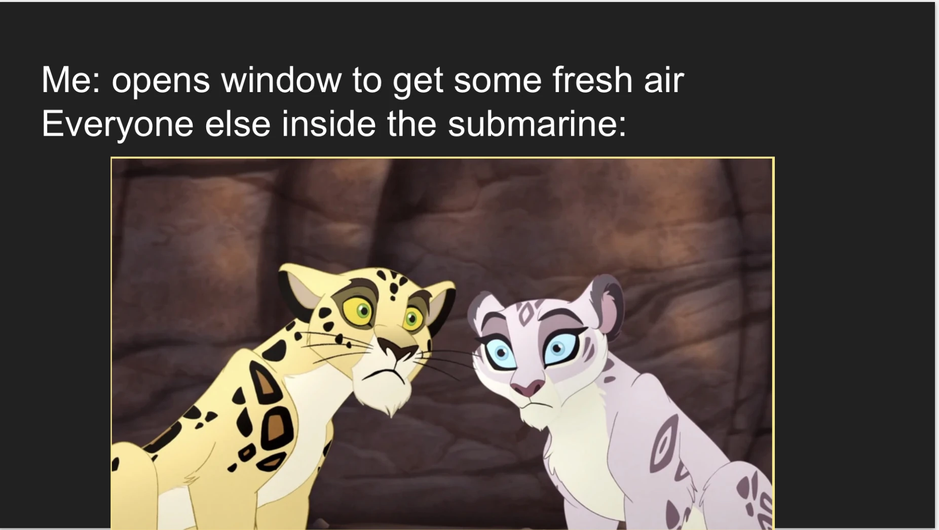 A meme | Fandom