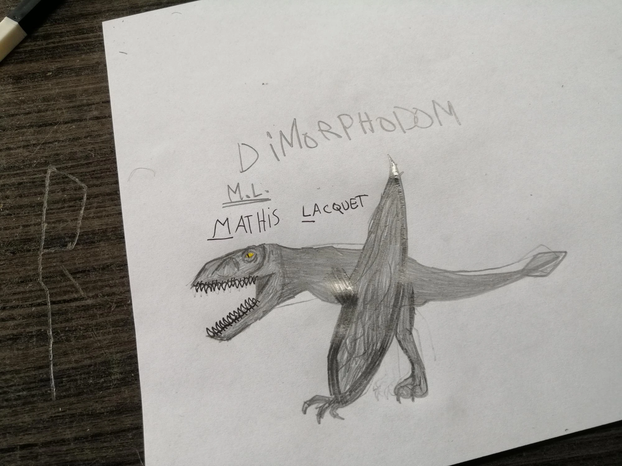 Dimorphodon | Fandom