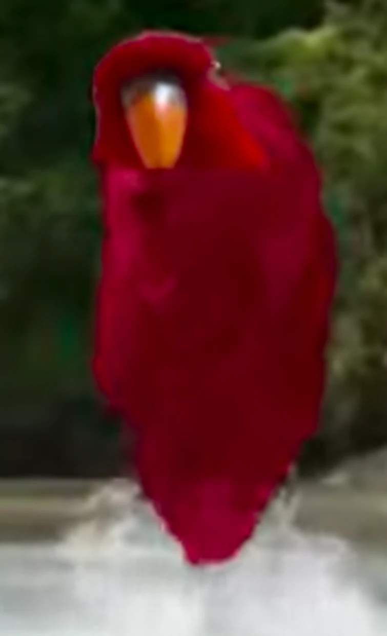 red | Fandom