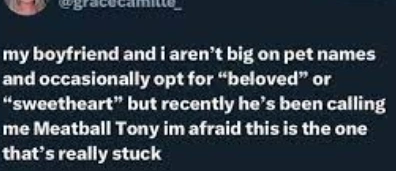 meatball tony | Fandom