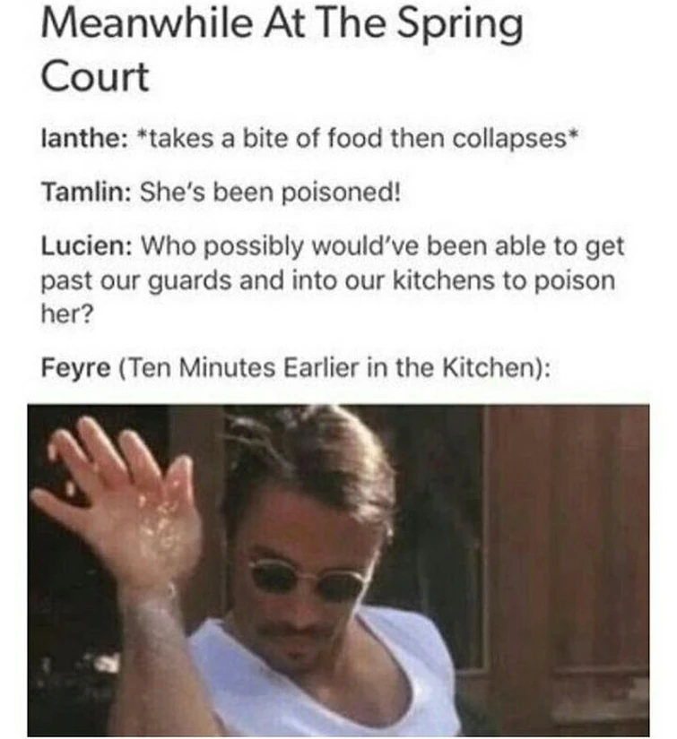 AcoTaR memes | Fandom